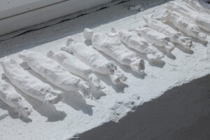 Master of Fine Art – GSA Showcase 2024