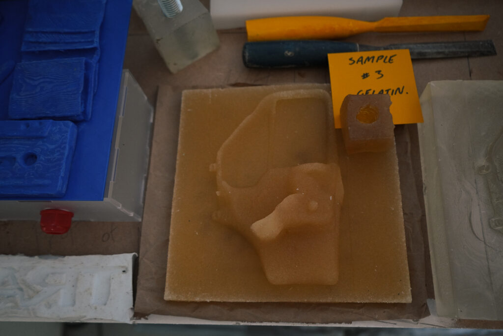 3D Printed Casts – GSA Showcase 2024