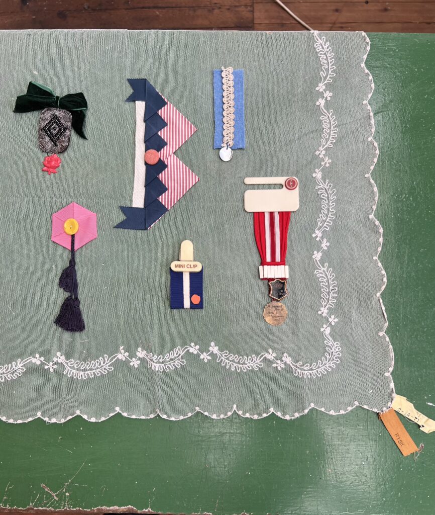 Complementary Project – GSA Showcase 2024